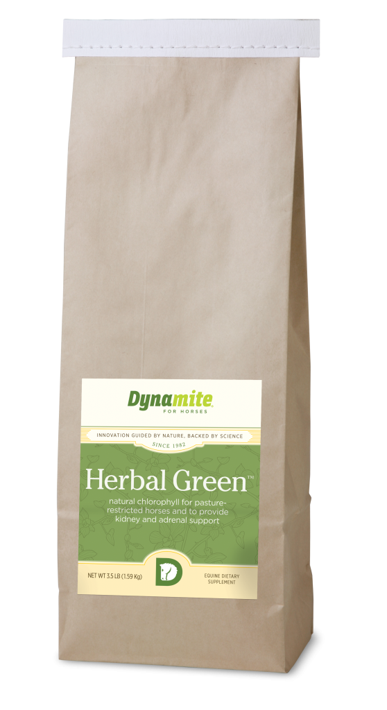 Horse Health in the Winter—Dynamite’s Herbal Green – Dynamite Specialty ...