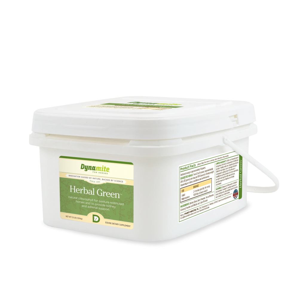 Horse Health in the Winter—Dynamite’s Herbal Green – Dynamite Specialty ...