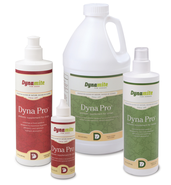 Summer Tips – Dynamite Specialty Products