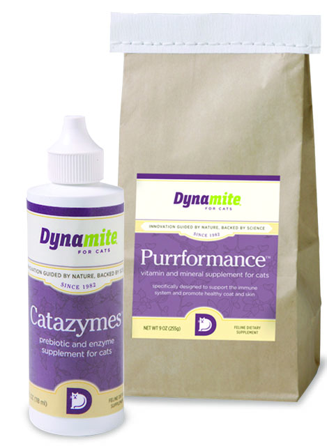 Feline Foundation – Dynamite Specialty Products