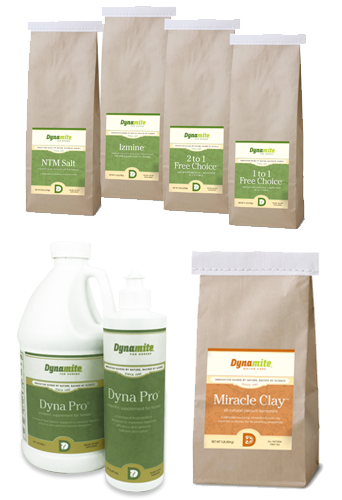 My Dynamite Story Sherry and Cree – Dynamite Specialty Products