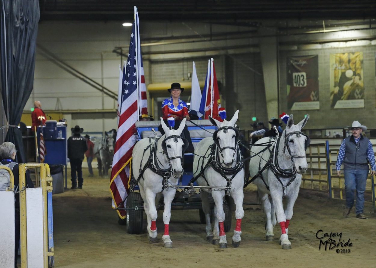 Miracle Clay – Dynamite Specialty Products