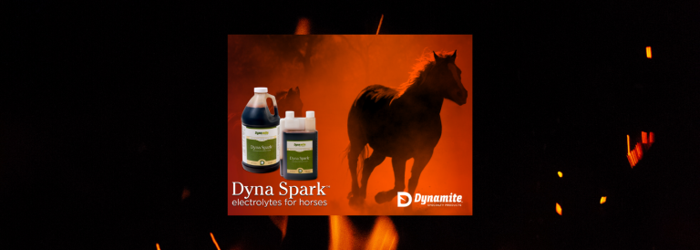 Dynamite Specialty Products Click On The Titles Below To Read The