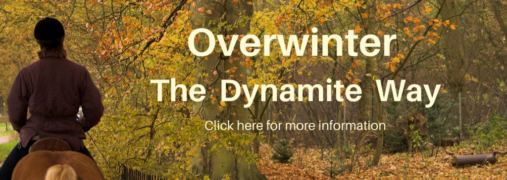 Dynamite Specialty Products – Click on the titles below to read the ...