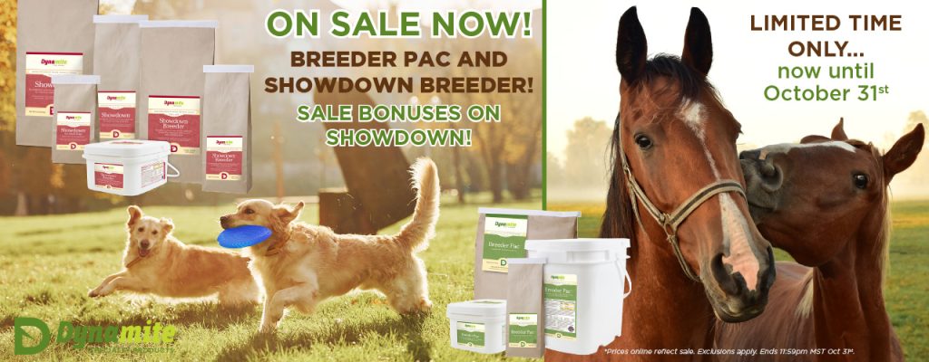 Dynamite Specialty Products – Click on the titles below to read the ...